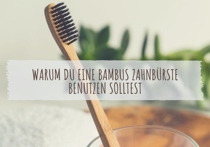 Magazin Archive - ECOMONKEY