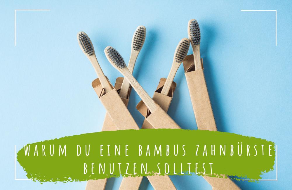 Warum du eine Bambus Zahnbürste benutzen solltest - ECOMONKEY