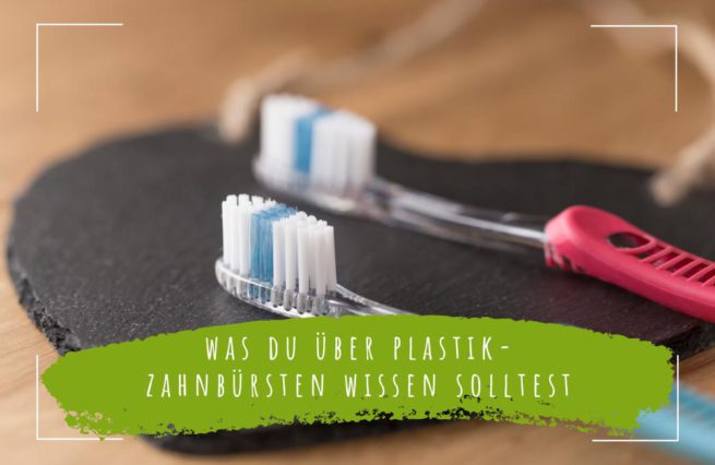 Plastikzahnbürsten - muss das sein? Ein kritischer Kommentar - ECOMONKEY