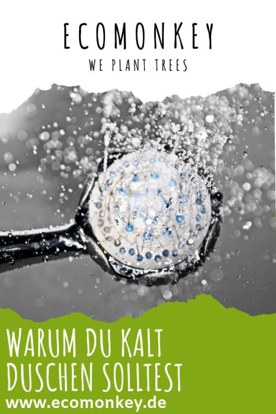 Ist kalt duschen gesund? Tipps für das ideale Kältetraining | ECOMONKEY