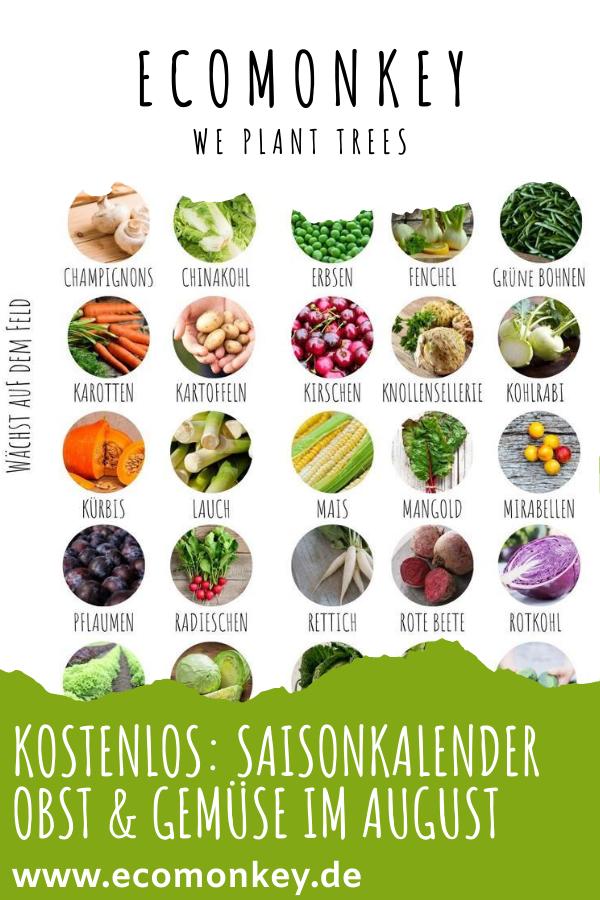 Saisonkalender August - Dieses Obst & Gemüse gibt es zu kaufen