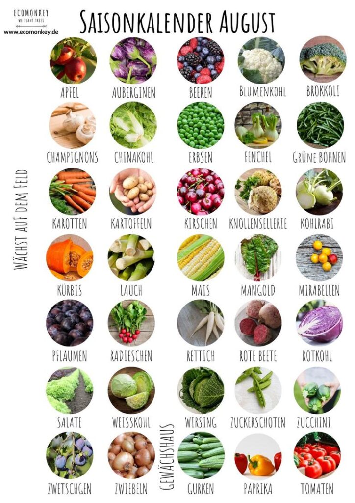 Saisonkalender August - Dieses Obst & Gemüse gibt es zu kaufen